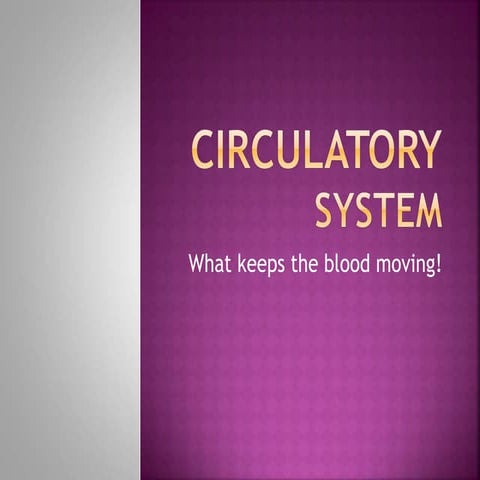 circulatory_system | PPT