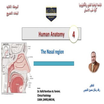 anatomy_of_nose2.pptx