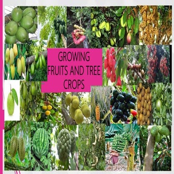 4th grading HELE 6 lesson 2 | PPTX