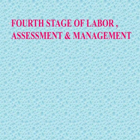 4th satge labor.pptx