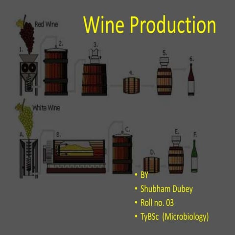 Wine production | PPTX