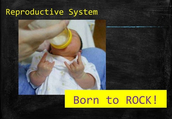 Female reproductive system.pptx