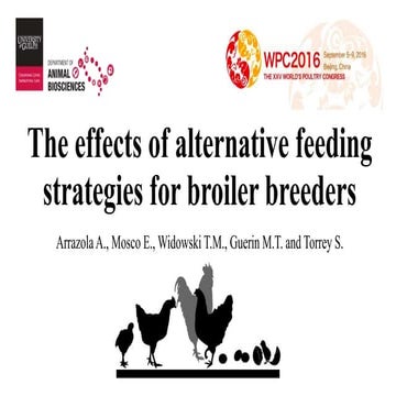 The effect of alternative feeding strategies for broiler breeders ...