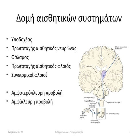 Παρουσίαση Γκοτζαρίδης | PPT