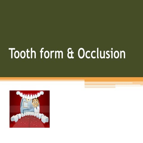 tooth form and occlusion | PDF
