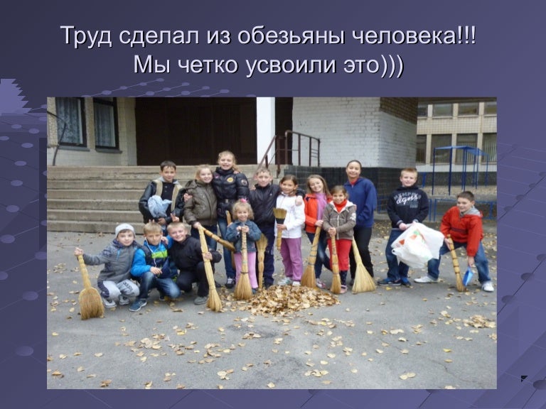 5б