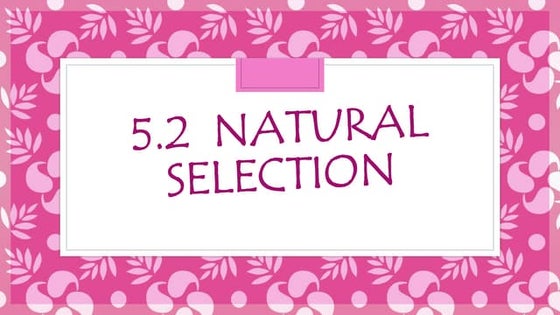 Ethological theories.pptx | Genetics | Science