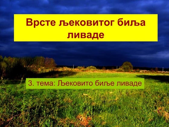 Biljke i životinje naših livada | PPTX