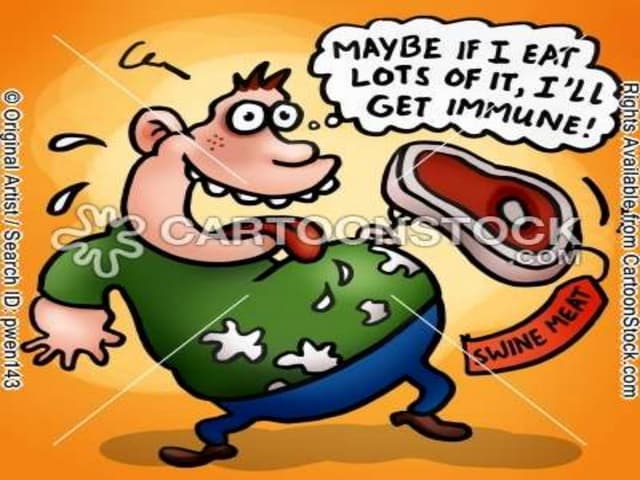 Bone remodelling and types of bone | DOCX