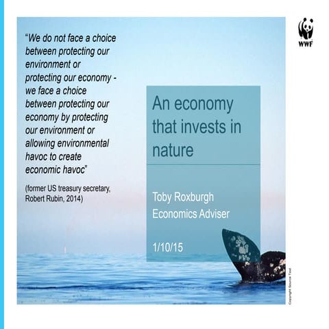 3b Toby Roxburgh (WWF) institutional context hmt | PPTX
