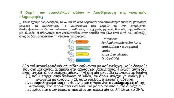 μιτωση μειωση βιολογια γ γυμνασιου | PDF