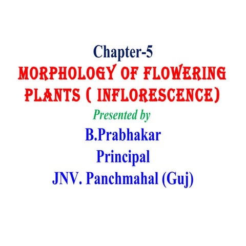 5. morphology of flowering parts (inflorescence) | PPT | Gardening ...
