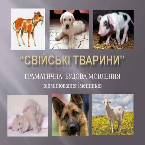 Свійські тварини. " Хто у кого? " | PPT