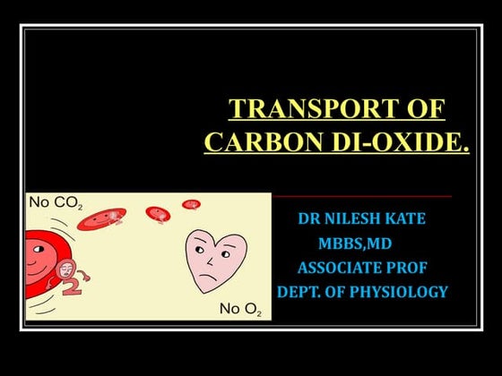 Transport of oxygen and carbon dioxide in blood | PPT