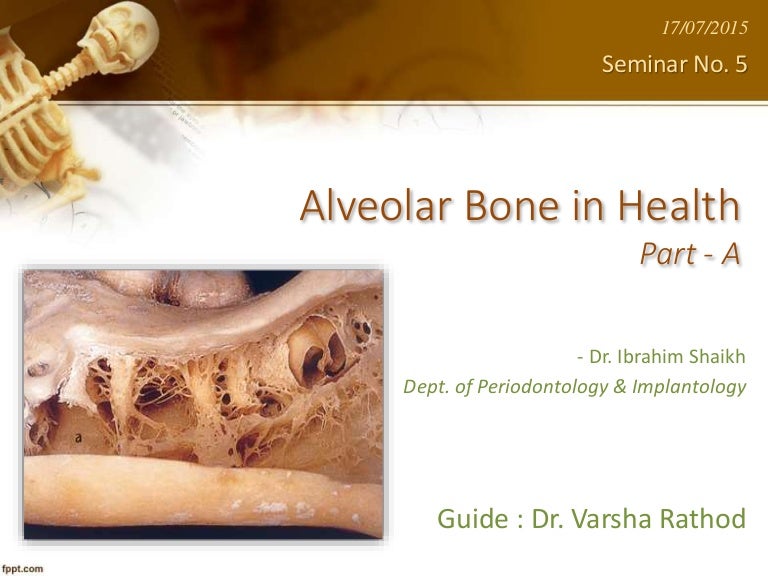 5. alveolar bone in health part a dr-ibrahim_shaikh