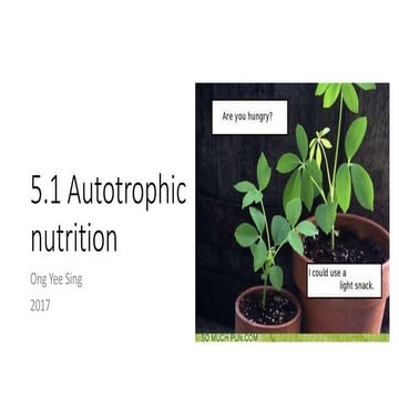 5.1 autotrophic nutrition UEC Senior 1 Biology | PPT