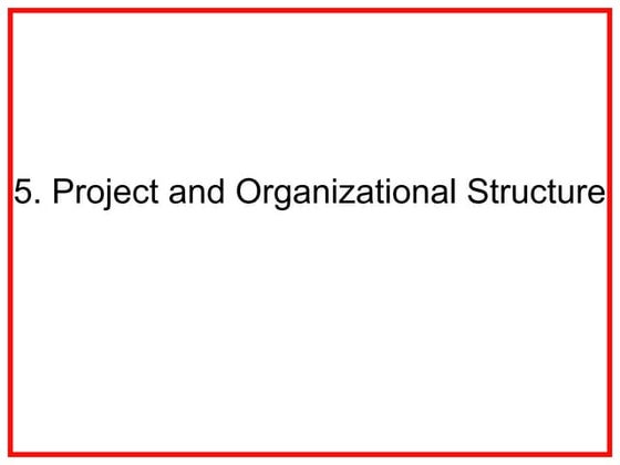 Project Management Organizational Structures | DOCX