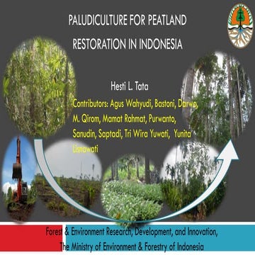 Paludiculture for peatland restoration in Indonesia | PDF