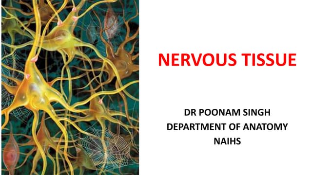 Nervous tissue (Histology) | PPTX