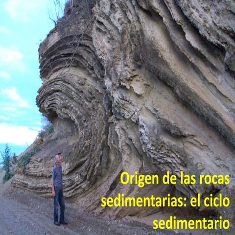 Origen de las rocas sedimentarias | PDF