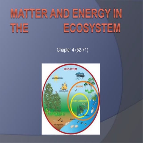 5. matter and energy chpt 4 power point | PPTX | Environment | Science