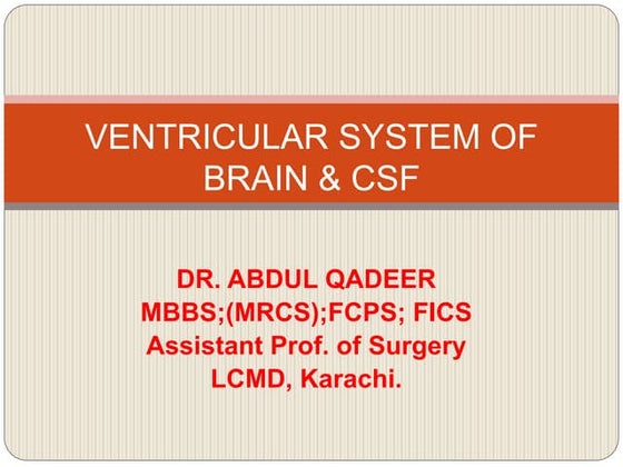 The Ventricular System | PPT