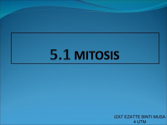 Life Sciences Grade10, Cell Division: Mitosis (and cancer) | PPTX ...