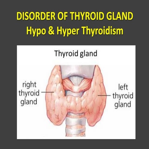 5 Thyroid Disorder Hypo And Hyper Pdf 2599