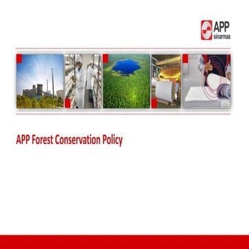 APP forest conservation policy | PPT