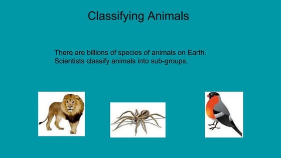 Unit 3 Lesson 5 BODY COVERING OF ANIMALS.pptx