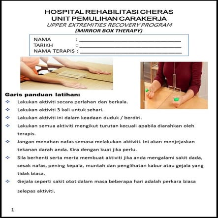 MIRROR BOX THERAPY | PDF