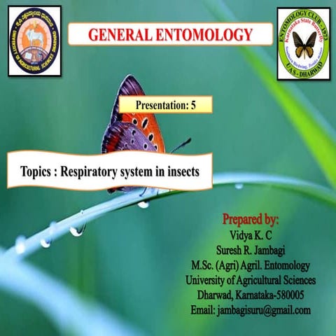 Chapter 4 INTERNAL STRUCTURE AND FUNCTION OF INSECT’S BODY (INSECT PHYSIOLOGY) | PPTX