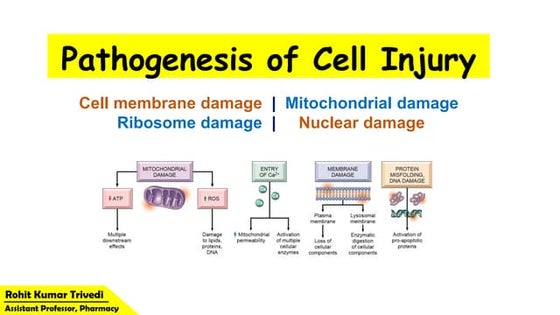 Basic principles of Cell injury and Adaptation | PPT
