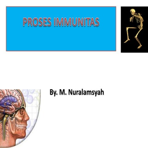 Proses immunitas | PPTX
