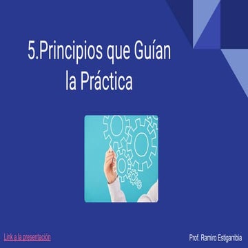 Principios que guían la práctica | PDF | Programming Languages | Computing