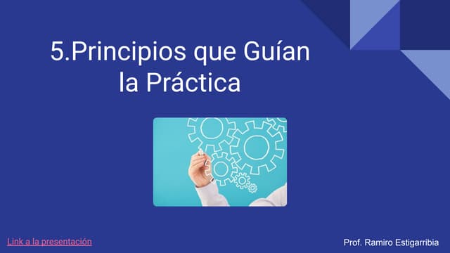 Principios que Guían la Práctica | PDF | Programming Languages | Computing