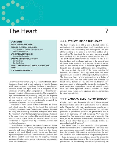 Introduction to cardiovascular system | PPT