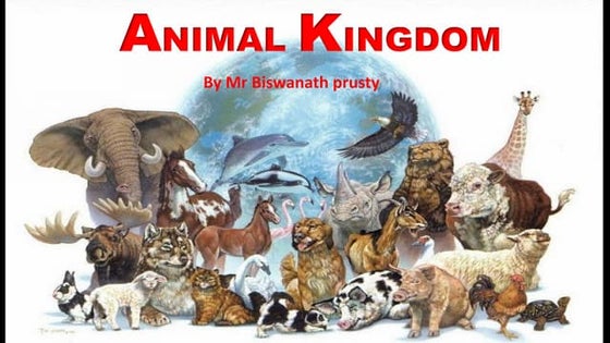 BIOLOGY ANIMAL KINGDOM CLASS. 11 NCERT.. | PPTX