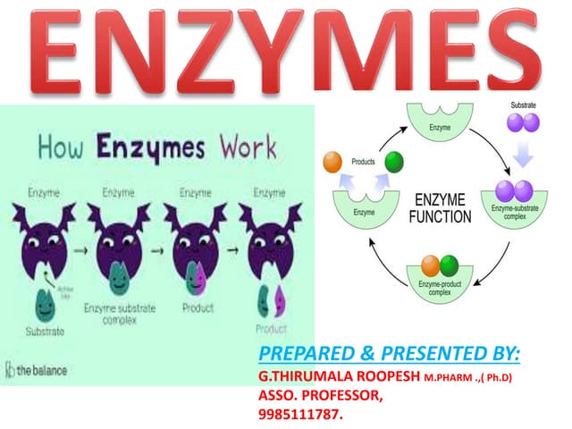 Classification of enzymes | PPTX