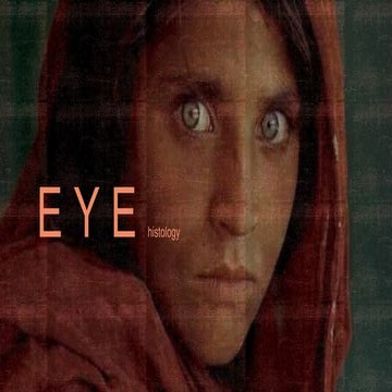 5. eye histology.pptx