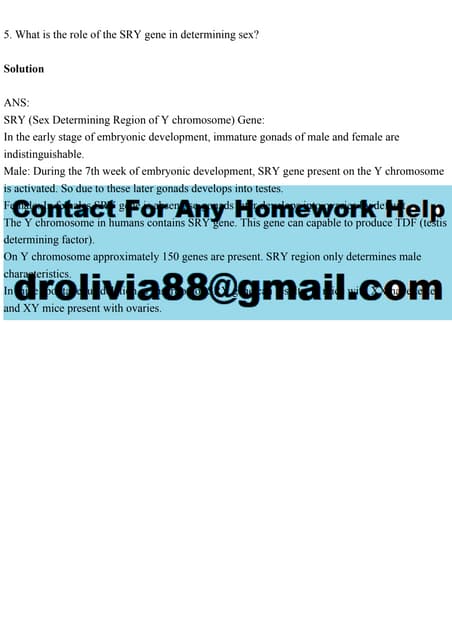 THE SRY gene and protein | PDF | Reproductive Health | Diseases and ...