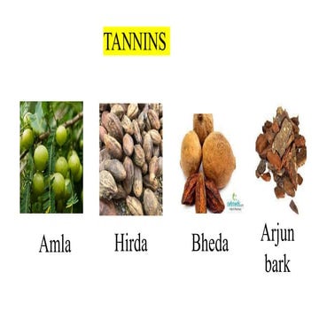 Tannins.pptx