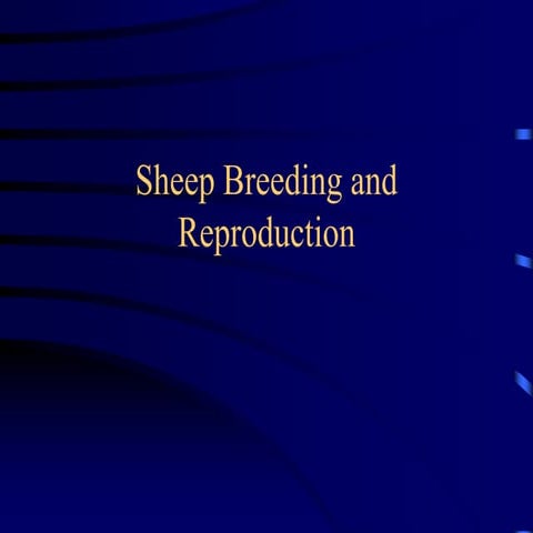5. Sheep Breeding and Reproduction.ppt