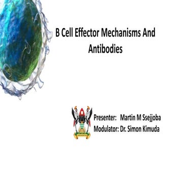 5. B cell effector mechanisms and antibodies - Presentation Martin ...