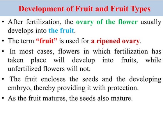 Classification of Fruit | PPT