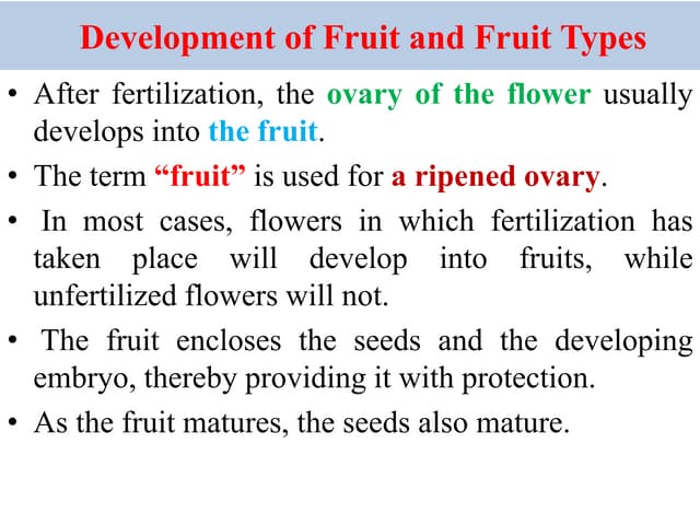 FRUIT-TYPES AND TAXONOMIC SIGNIFICANCE.pdf