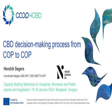 5. CBD decision-making process from COP to COP - Hendrik Segers.pptx