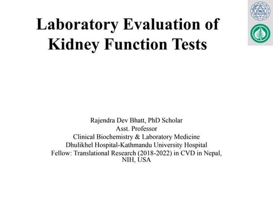 Renal Function Test | PPTX