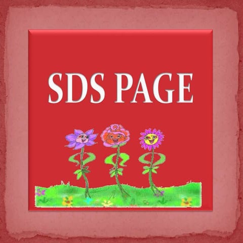 SDS PAGE SLIDESHOW POWERPOINT. SSSSSSSSS | PPT