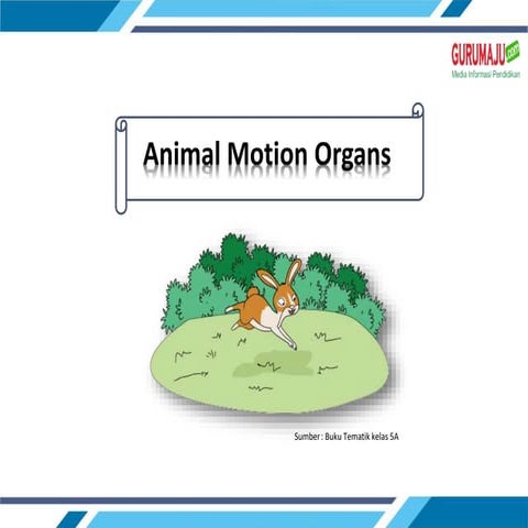 IPAS Animal Motion Organs by guru maju.ppsx